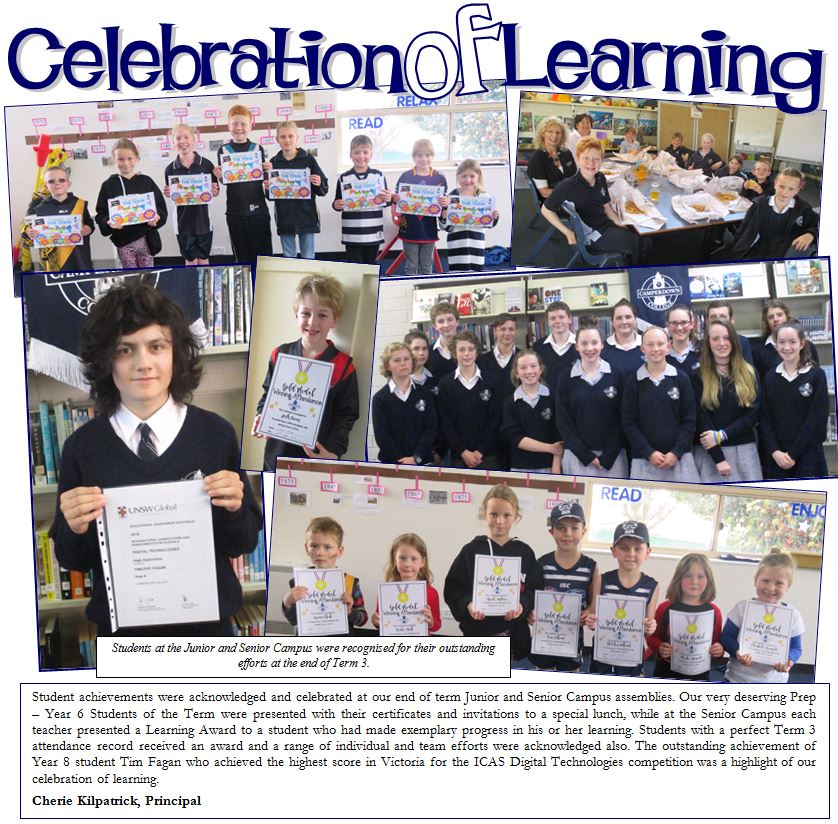 Celebration of Learning - Term 3