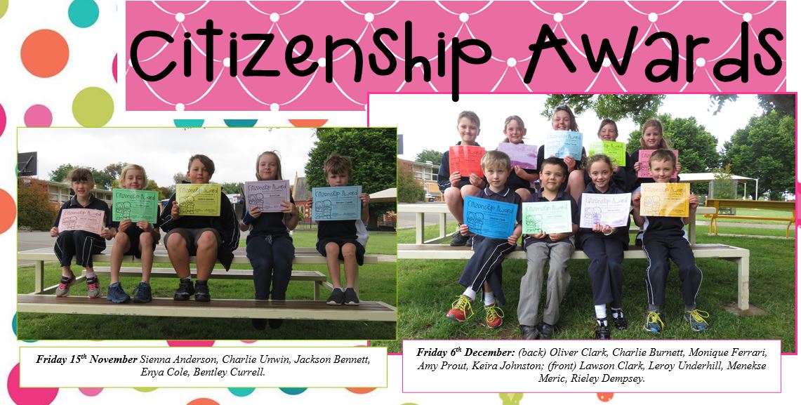 Citizenship Awards