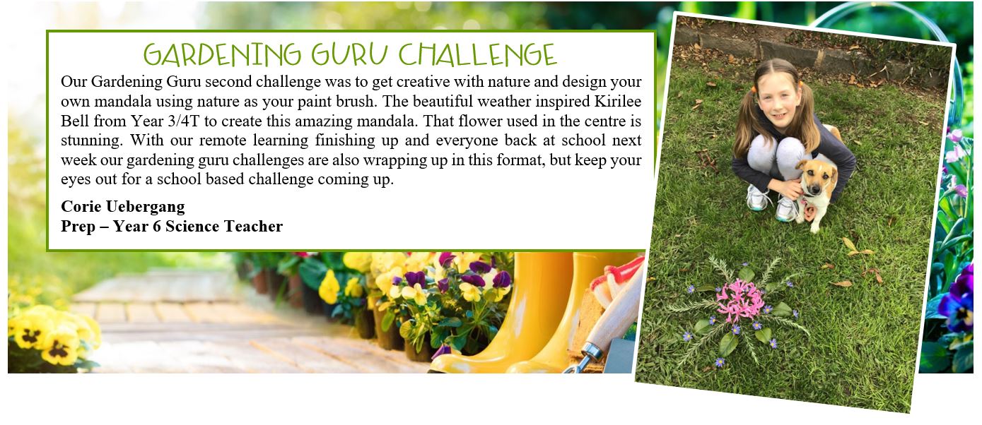 Gardening Gurus