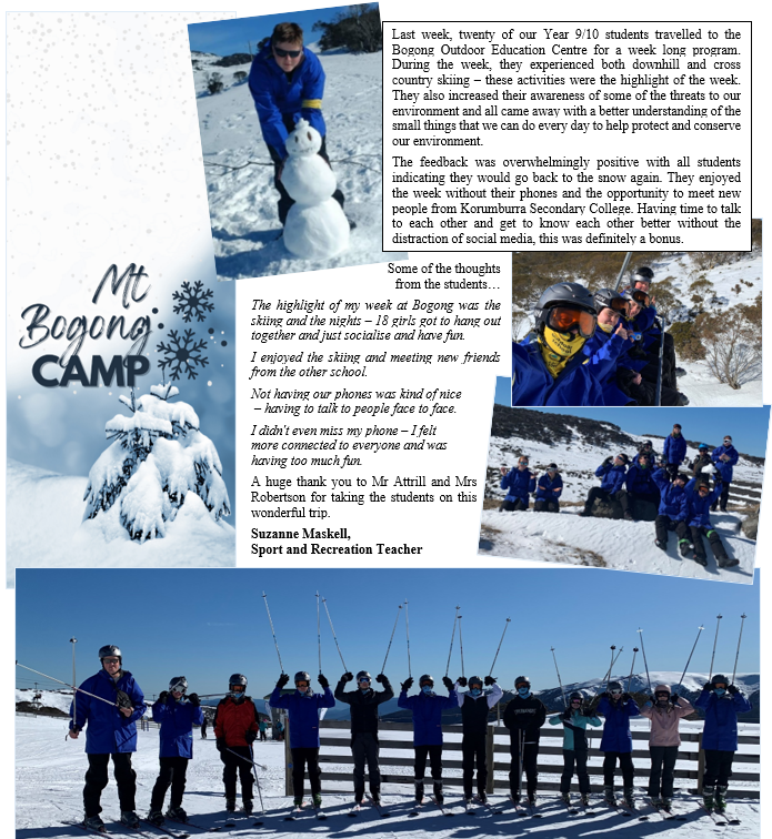 3. Mt Bogong Camp