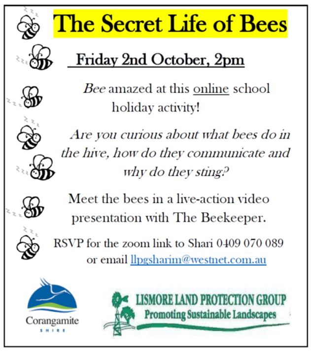 The Secret Life of Bees