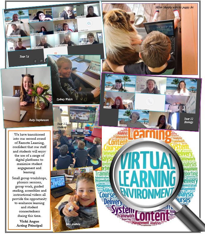 Virtual Learning Environment